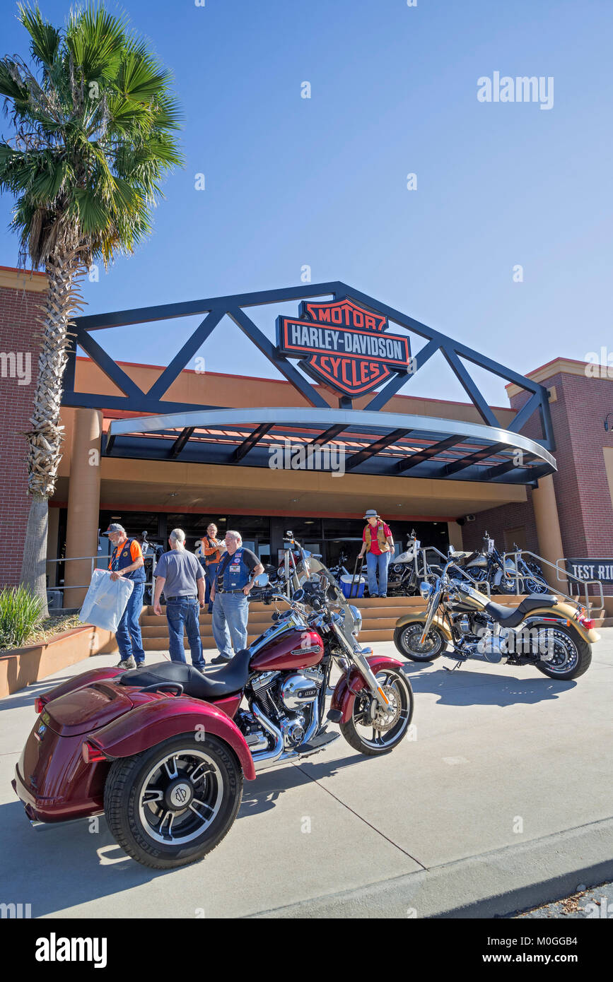 Harley davidson motorcycle florida usa -Fotos und -Bildmaterial in ...