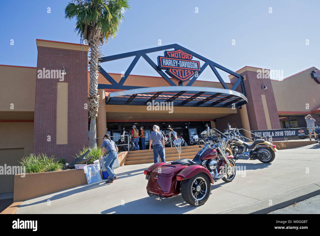 Harley davidson motorcycle florida usa -Fotos und -Bildmaterial in ...