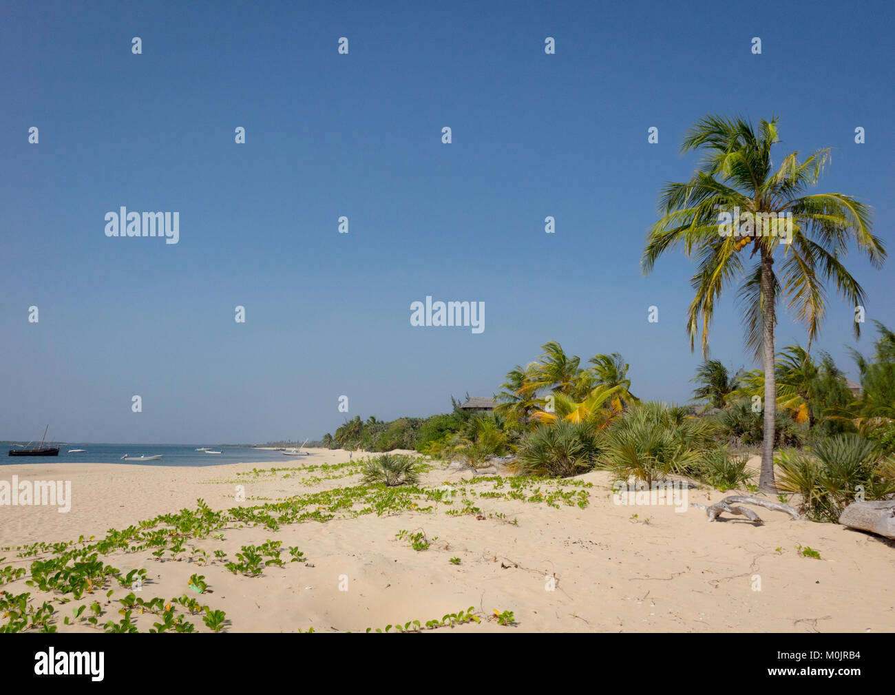 Kizingoni strand lamu -Fotos und -Bildmaterial in hoher Auflösung – Alamy