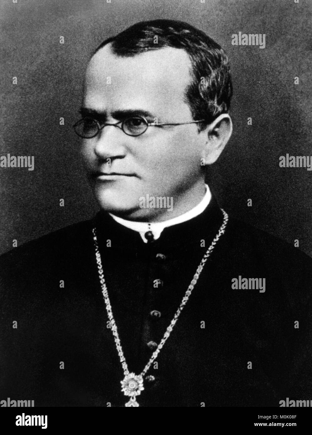 Gregor Mendel Stockfotos und -bilder Kaufen - Alamy