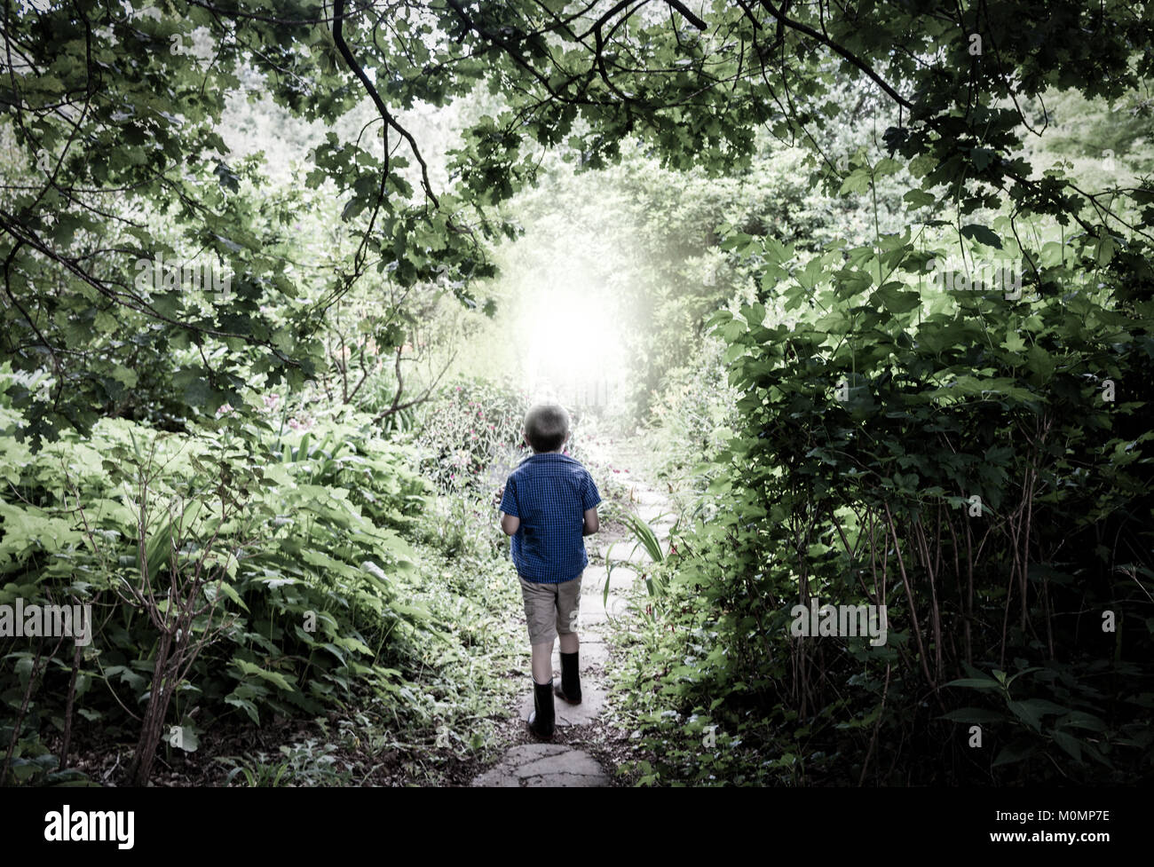 Kleiner Junge auf dem Weg zum Licht durch den dunklen Wald auf dem Weg ...