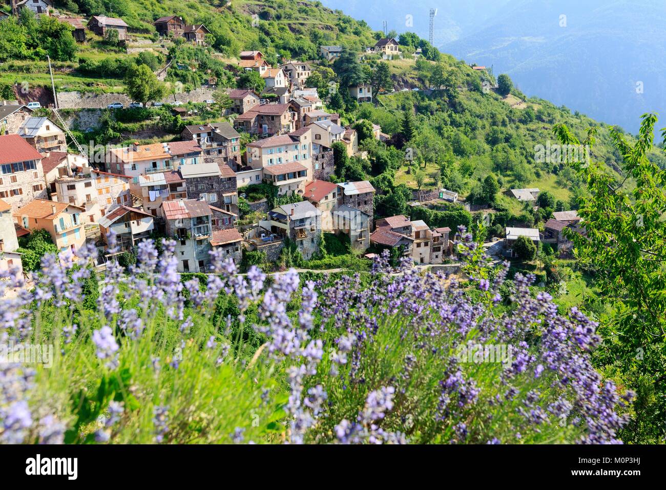 La tinee valley -Fotos und -Bildmaterial in hoher Auflösung – Alamy