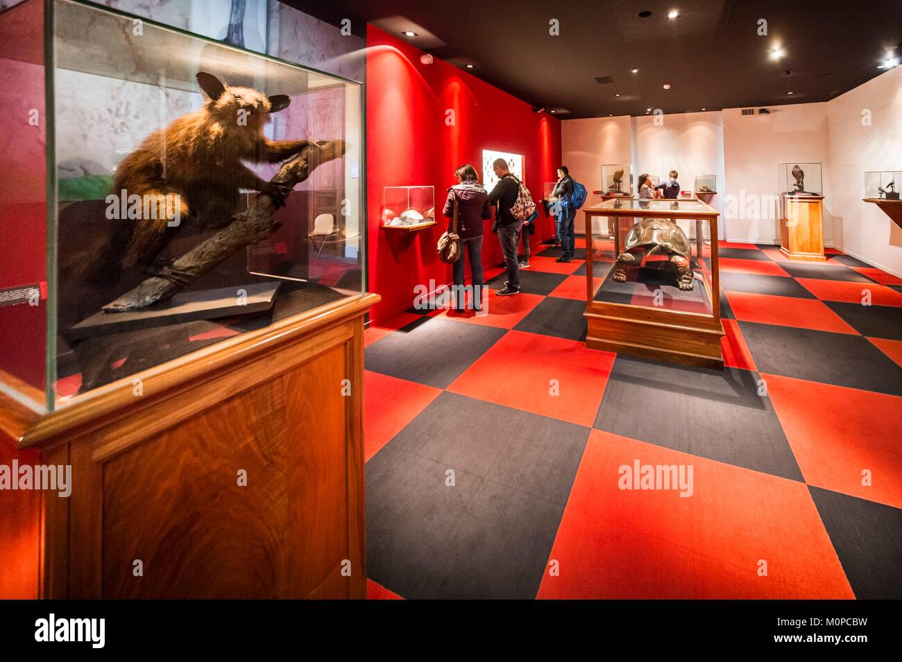 Frankreich, Isère Grenoble Museum, der Halle der vom Aussterben bedrohte Arten oder sind ...
