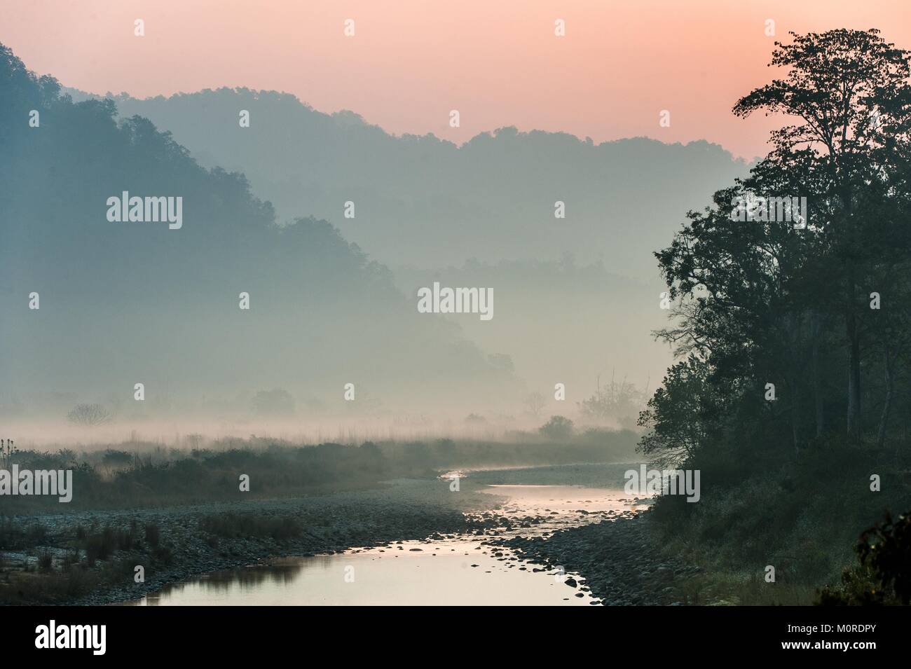 Corbett national park -Fotos und -Bildmaterial in hoher Auflösung – Alamy