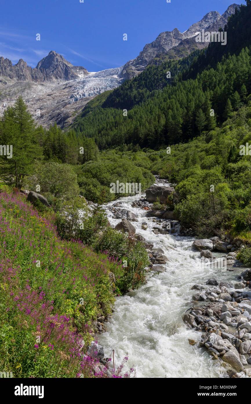 Mont blanc massif switzerland -Fotos und -Bildmaterial in hoher Auflösung – Alamy