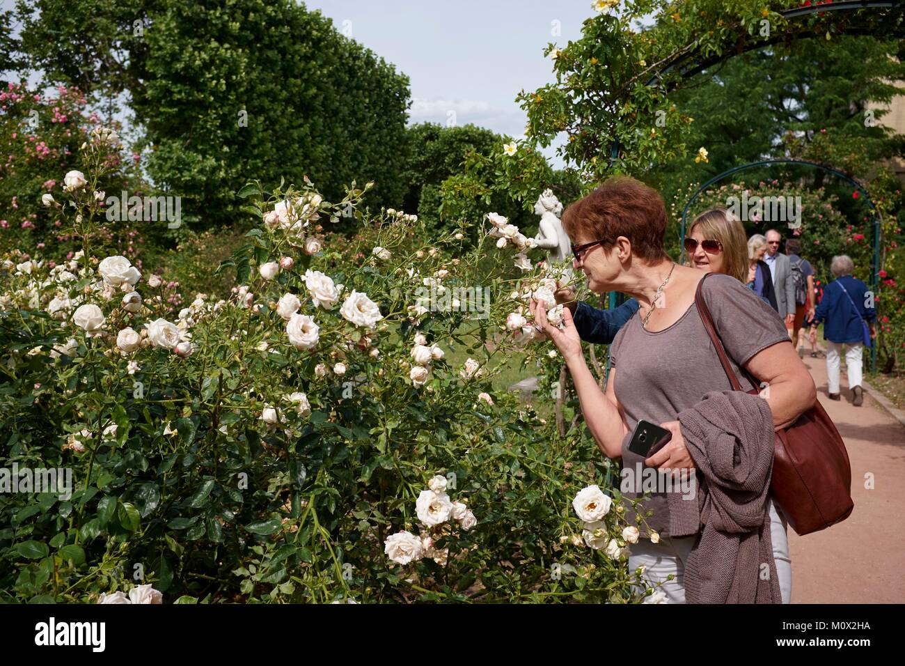 Frankreich, Paris, National Museum of Natural History, Jardin des ...