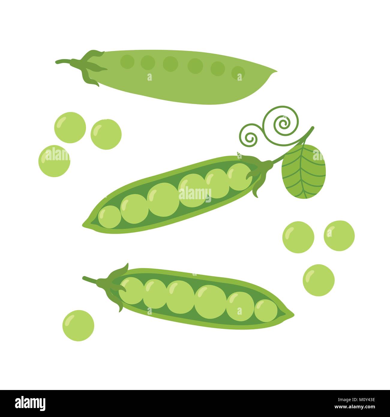 Erbse cartoon Ausgeschnittene Stockfotos und -bilder - Alamy