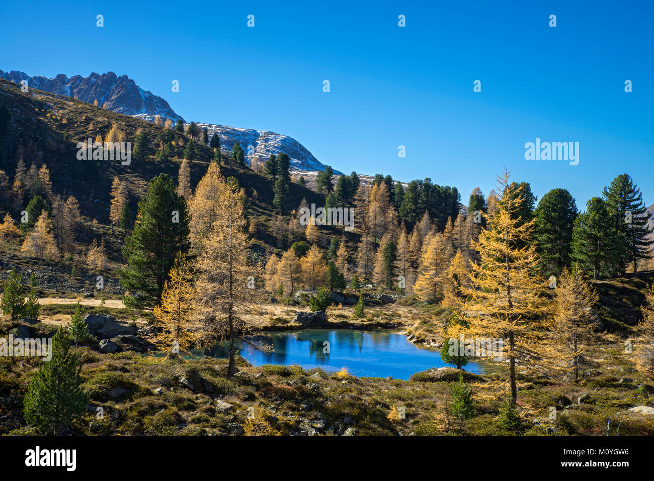 Berglisee bei -Fotos und -Bildmaterial in hoher Auflösung – Alamy