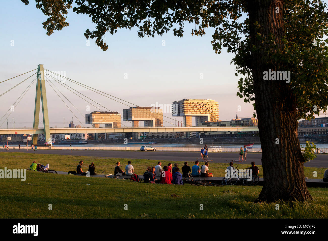 Deutzer rheinwiesen -Fotos und -Bildmaterial in hoher Auflösung – Alamy