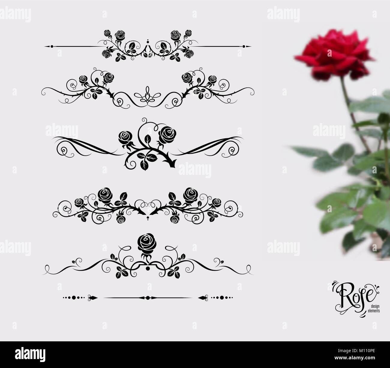 Fantasie stieg -Fotos und -Bildmaterial in hoher Auflösung – Alamy