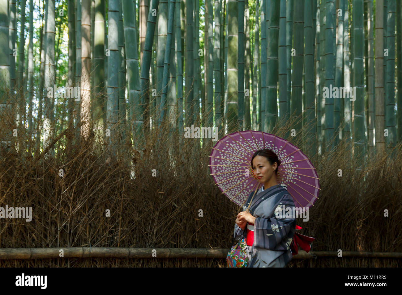 Eine frau in einem kyoto park -Fotos und -Bildmaterial in hoher Auflösung – Alamy