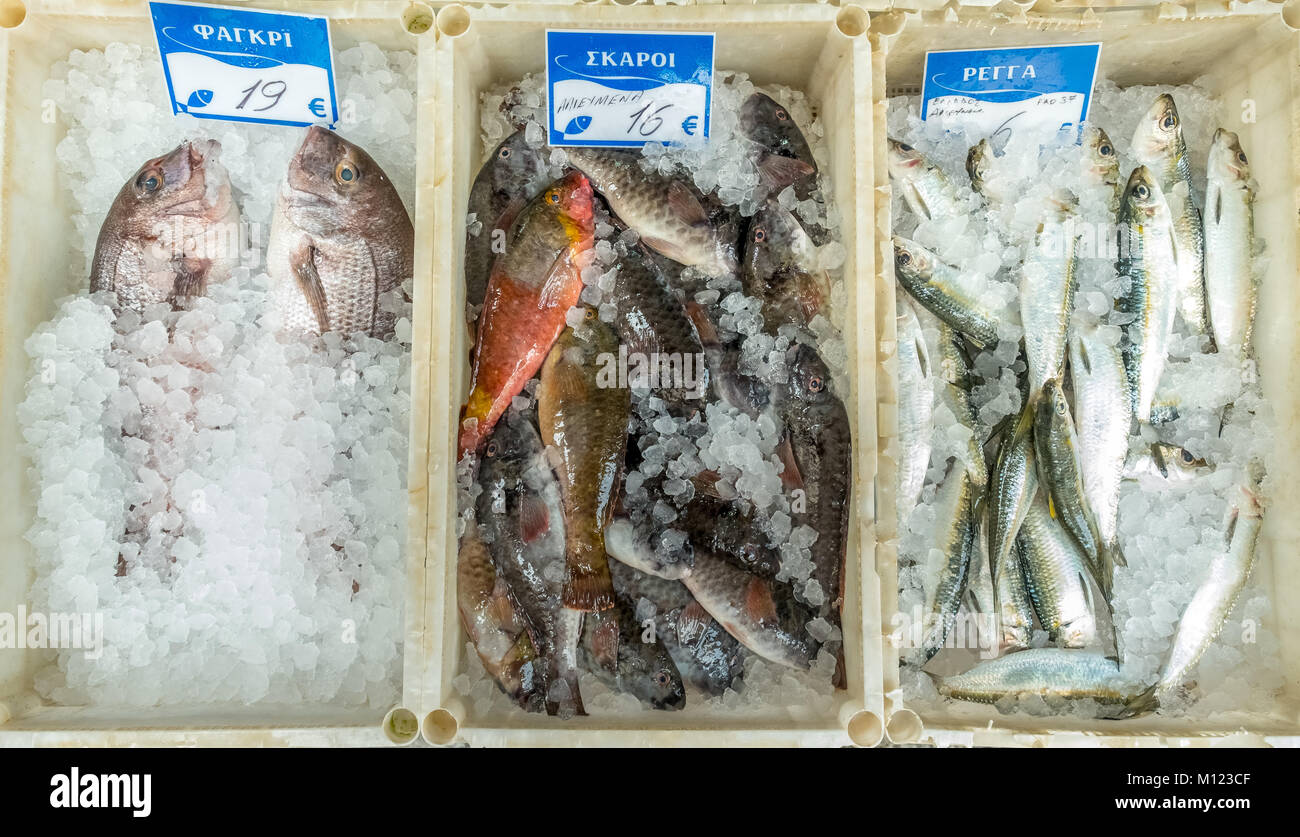Essbare Fische zum Verkauf, Goldbrasse, Hering, Fisch auf Eis, Rethymno ...