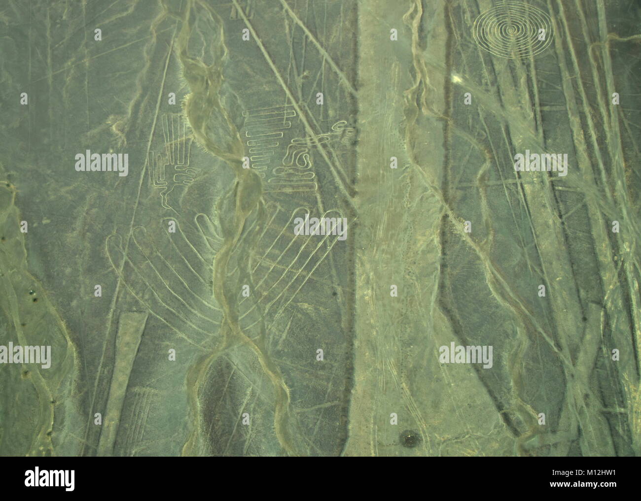 Die Nazca-linien in Peru, hier können Sie Muscheln Stockfotografie - Alamy