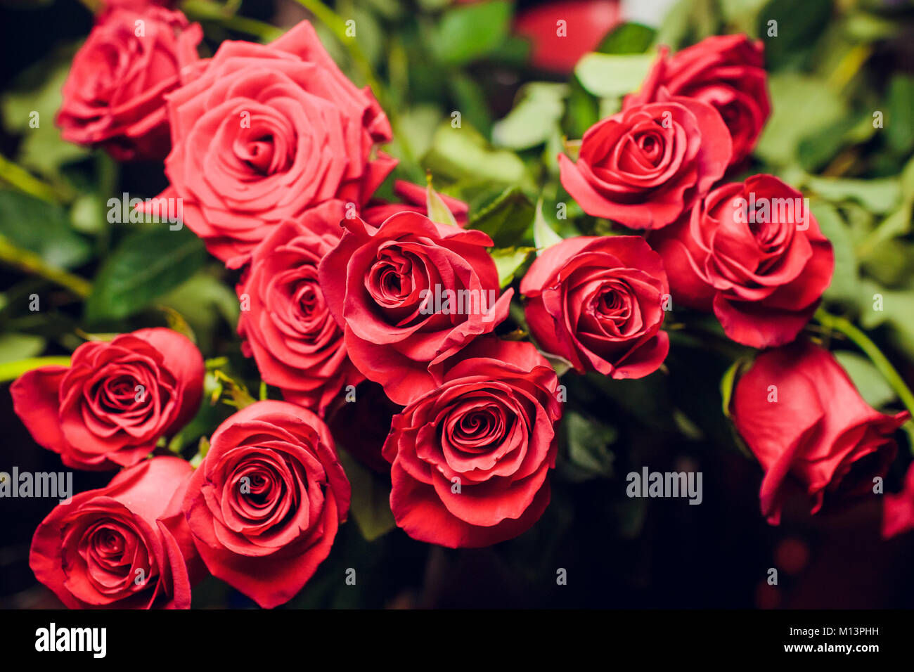 Rosen Hintergrund Stockfotos und -bilder Kaufen - Alamy