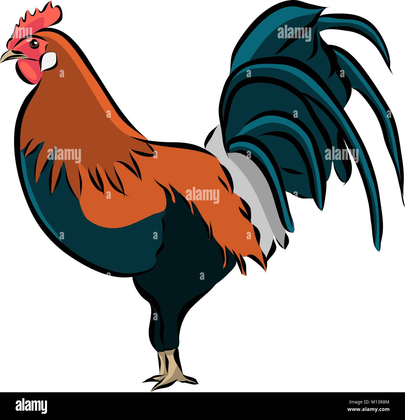 Hand gezeichnet Hahn Symbol, Vektor Stock-Vektorgrafik - Alamy