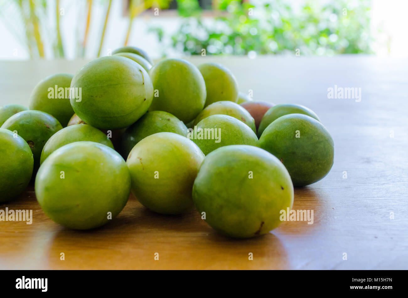Spondias tuberosa - Brasilianische Obst der Saison namens Umbu oder ...