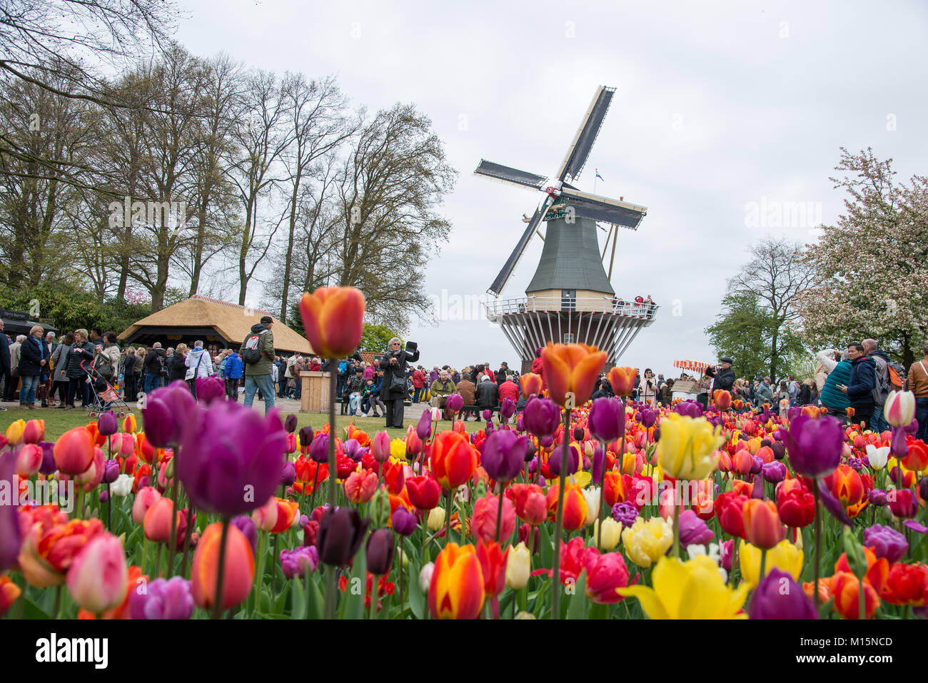Amsterdam, Niederlande - 21 April, 2017: traditionelle holländische ... Amsterdam, Niederlande - 21 April, 2017: traditionelle holländische ...