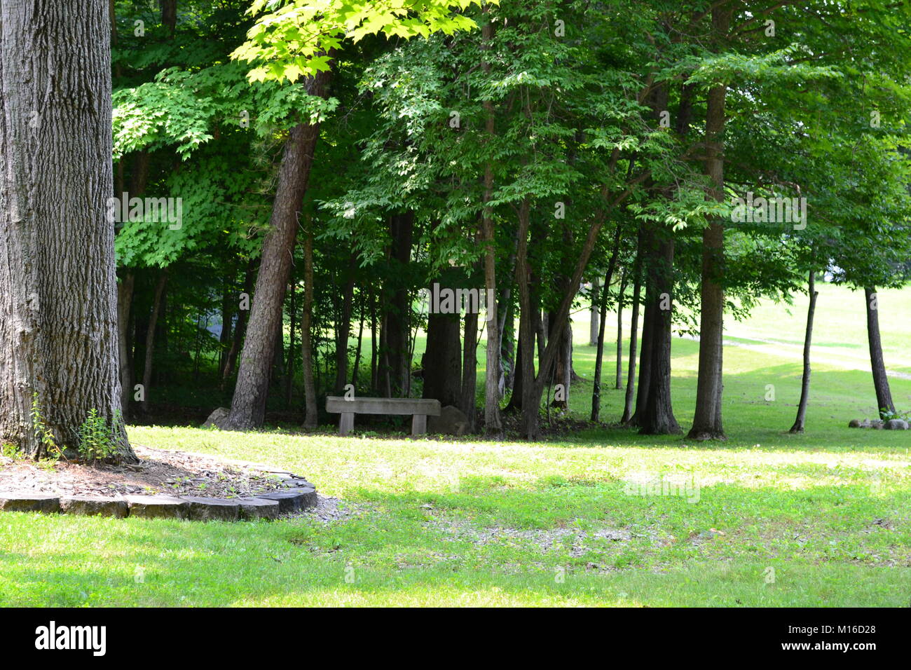 Bank im wald -Fotos und -Bildmaterial in hoher Auflösung – Alamy