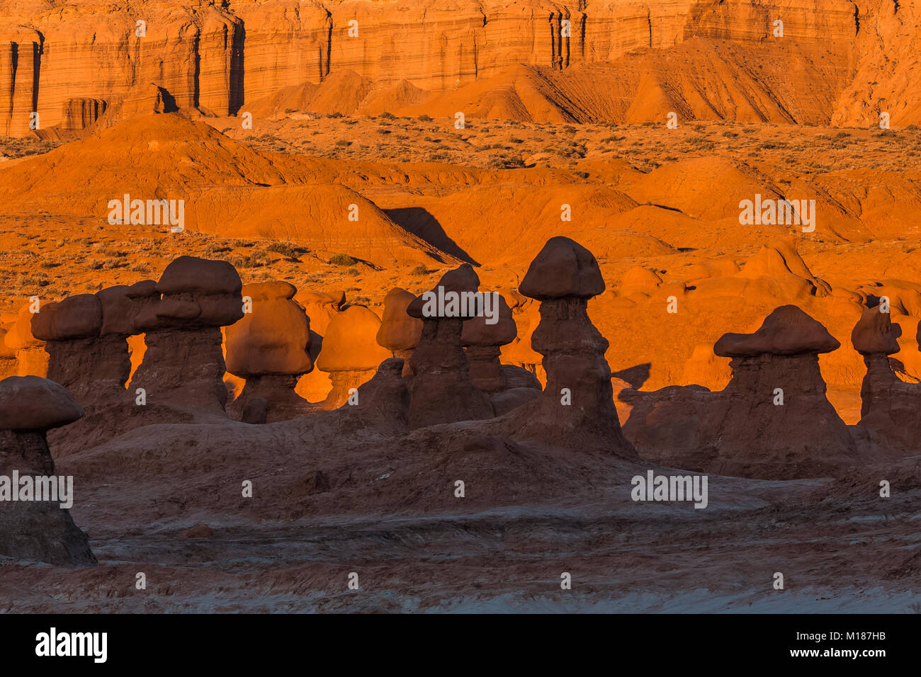 Goblins oder Hoodoos von Entrada Sandstein erodiert, fotografiert im ...