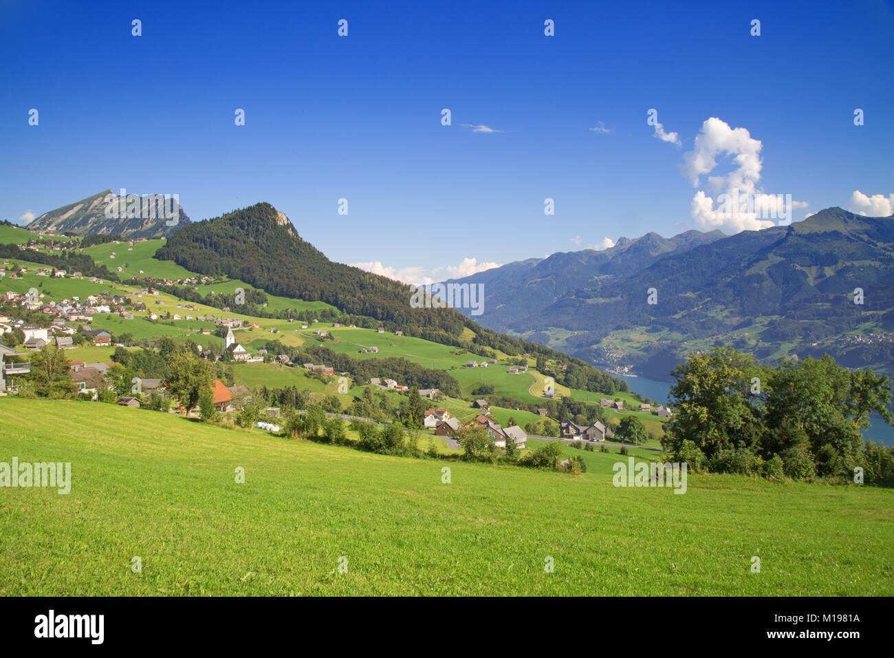 Sommerlandschaft in der Region Walensee (Churfirsten-Bergkette in ...