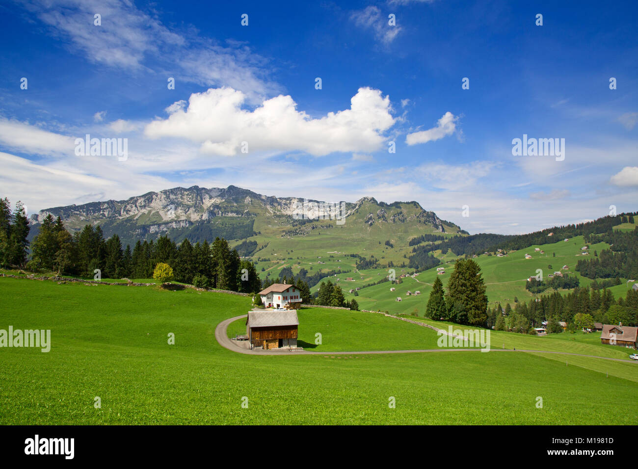 Sommerlandschaft in der Region Walensee (Churfirsten-Bergkette in ...