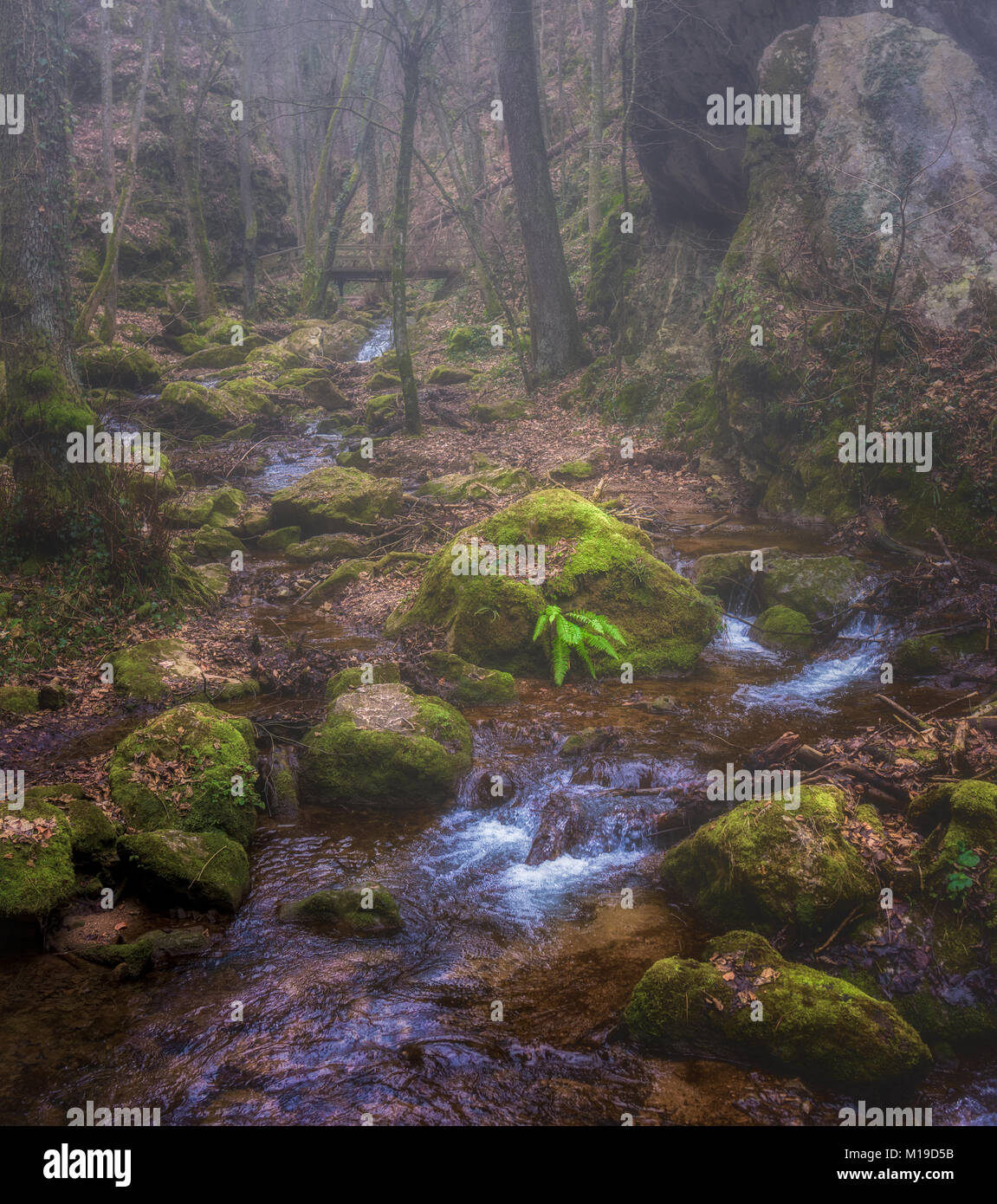 Dunkelsteiner wald österreich -Fotos und -Bildmaterial in hoher ...