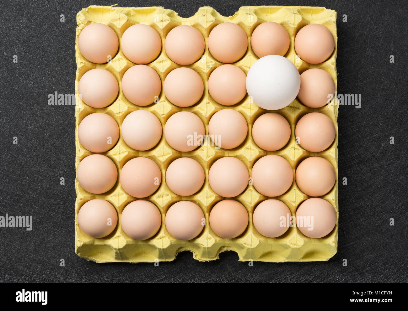 Eiervergleich vergleich groessenvergleich -Fotos und -Bildmaterial in ...