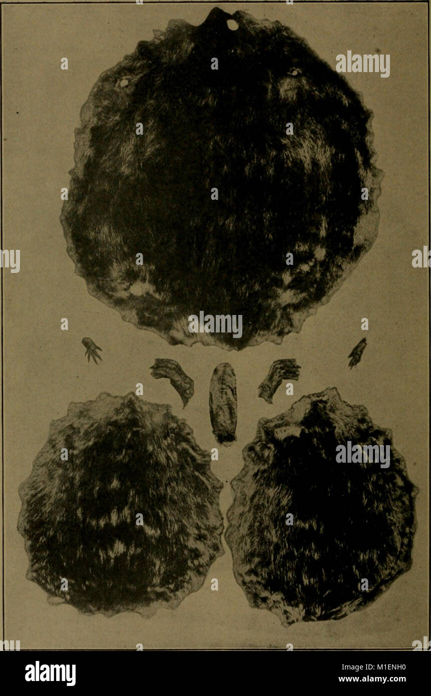 Dieser Leitfaden 1906 von Andersch Bros. Bietet eine detaillierte ...