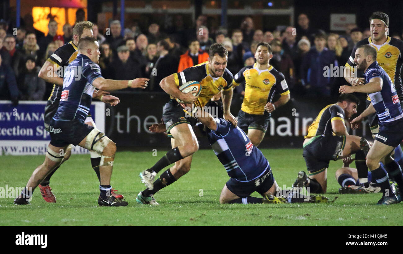 Bedford rugby spieler -Fotos und -Bildmaterial in hoher Auflösung – Alamy