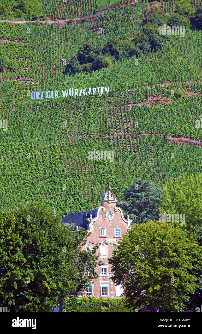 Einzellage Moenchhof und Uerziger Wuerzgarten, einem berühmten Riesling ...