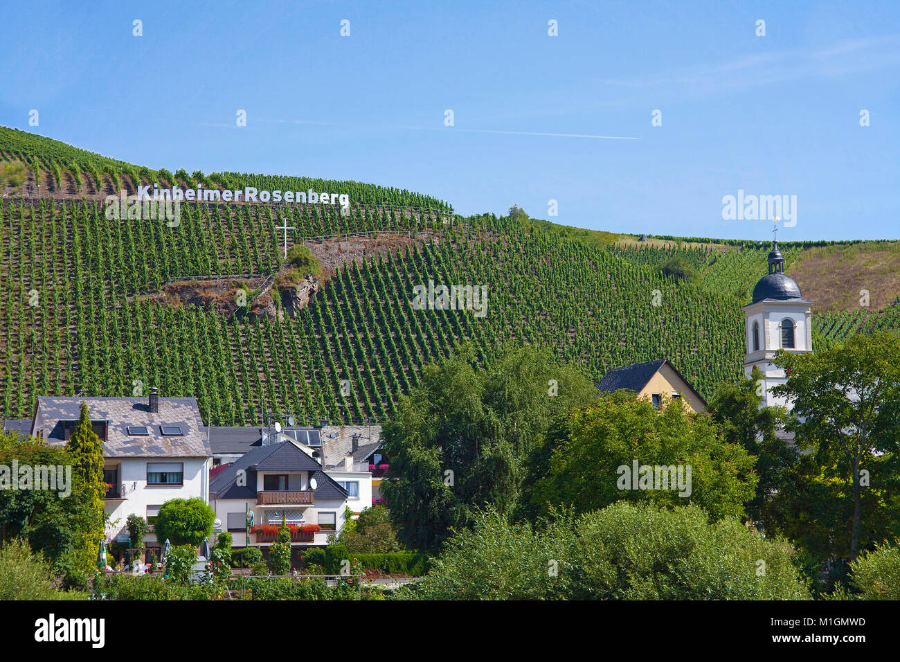 Buchstaben "kinheimer Rosenberg" im Weinberg, ein Riesling, Kirche St ...