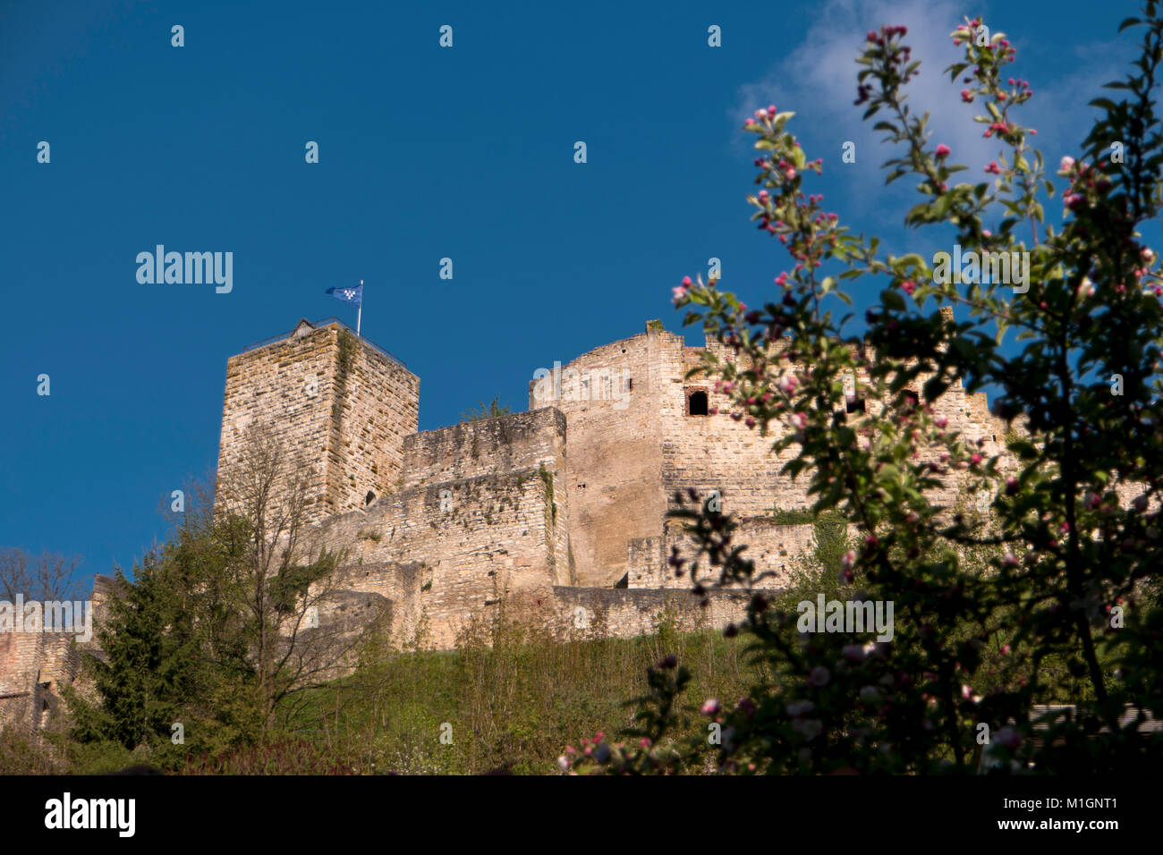 Castle Pappenheim Germany Stockfotos und -bilder Kaufen - Alamy