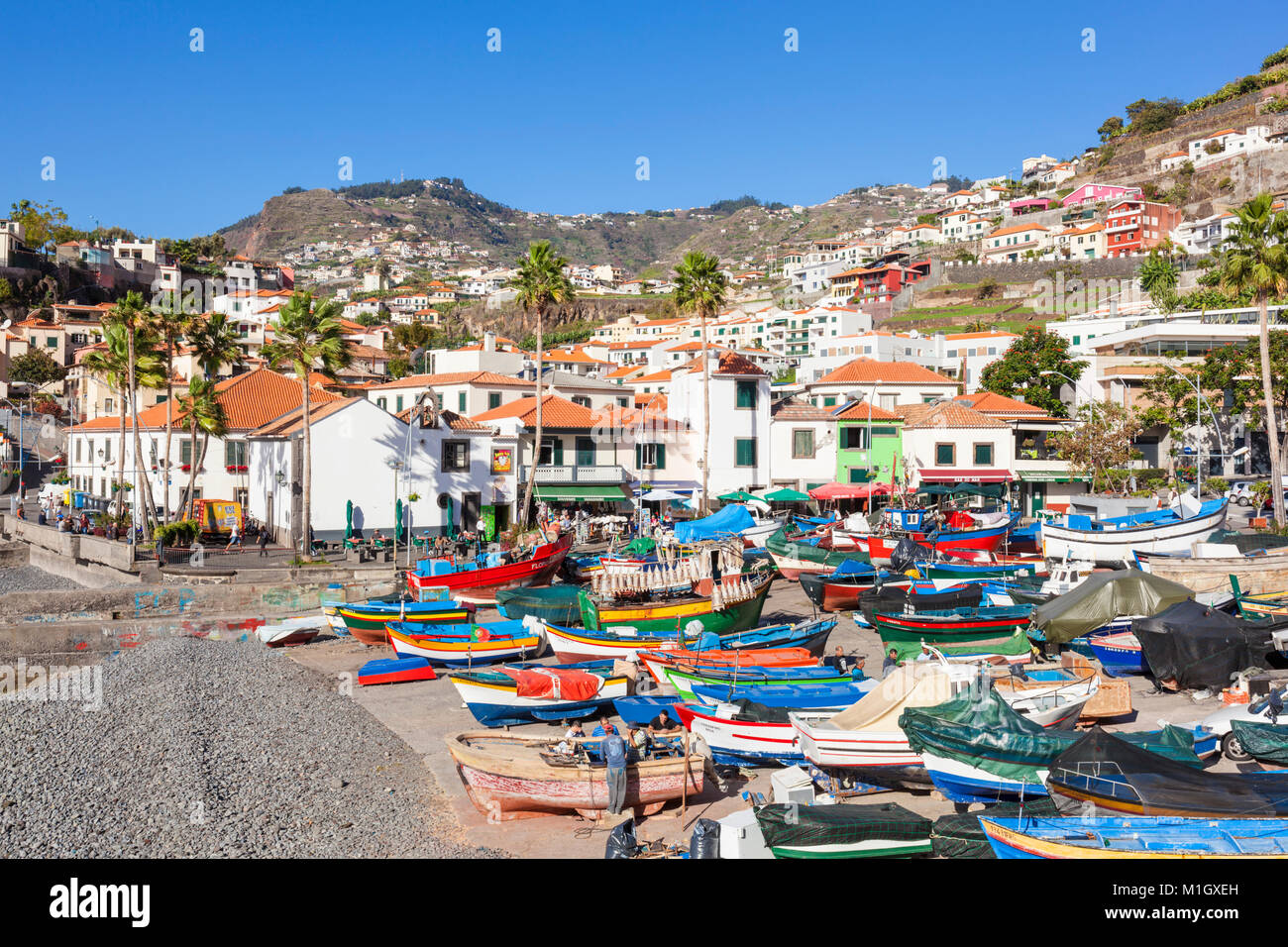 Camara de Lobos madeira Camara de Lobos Fischerdorf Traditionell ...