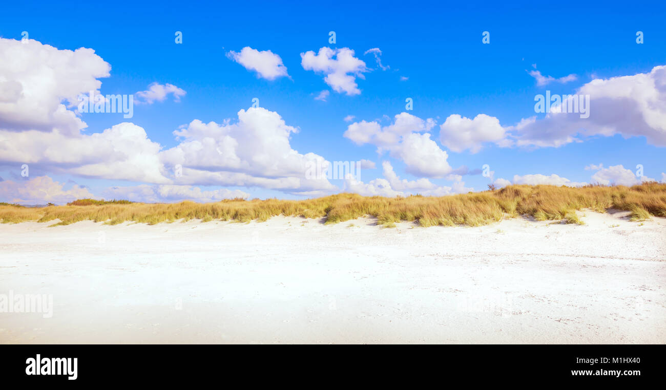 Rosignano solvay -Fotos und -Bildmaterial in hoher Auflösung – Alamy