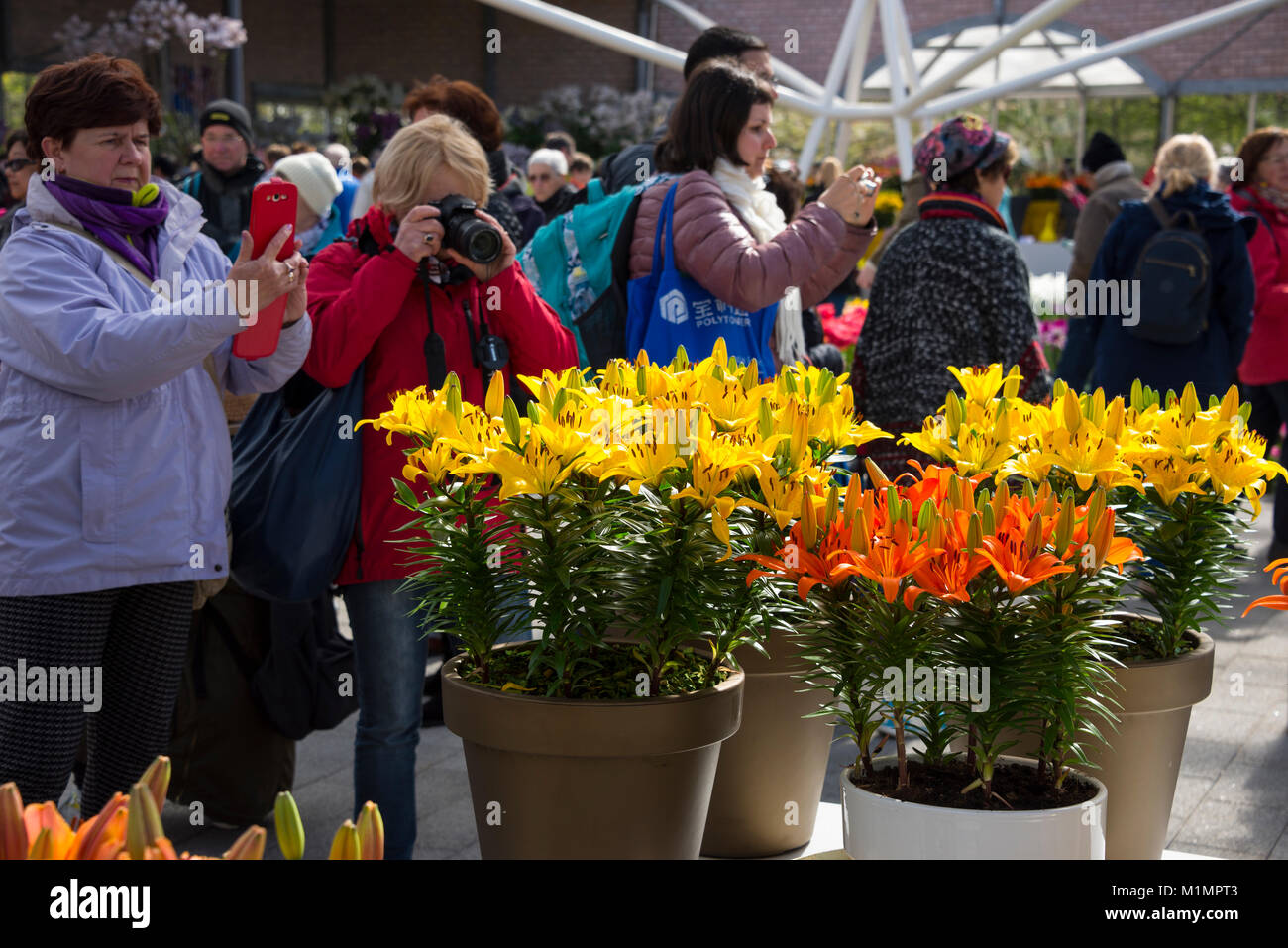 Alexander pavillon -Fotos und -Bildmaterial in hoher Auflösung – Alamy