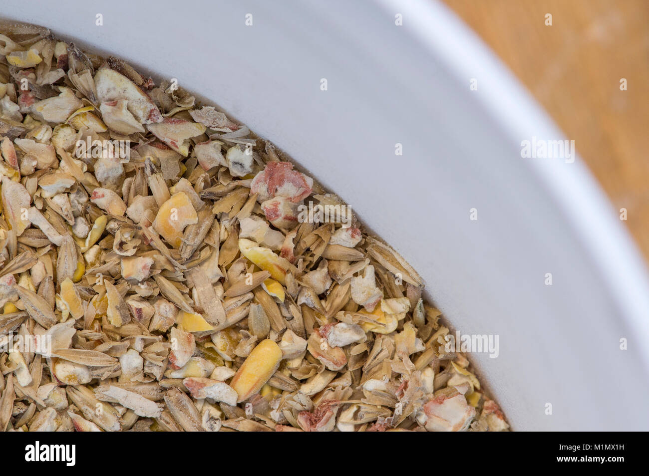 Chicken scratch Feed in der Ladeschaufel Stockfotografie - Alamy
