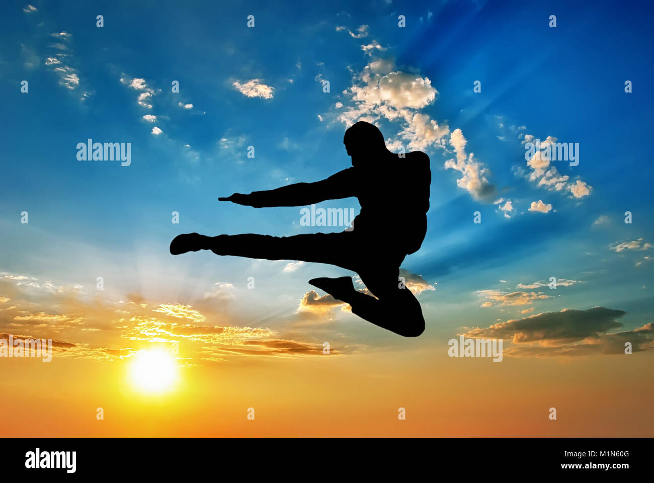 Karate silhouette -Fotos und -Bildmaterial in hoher Auflösung – Alamy