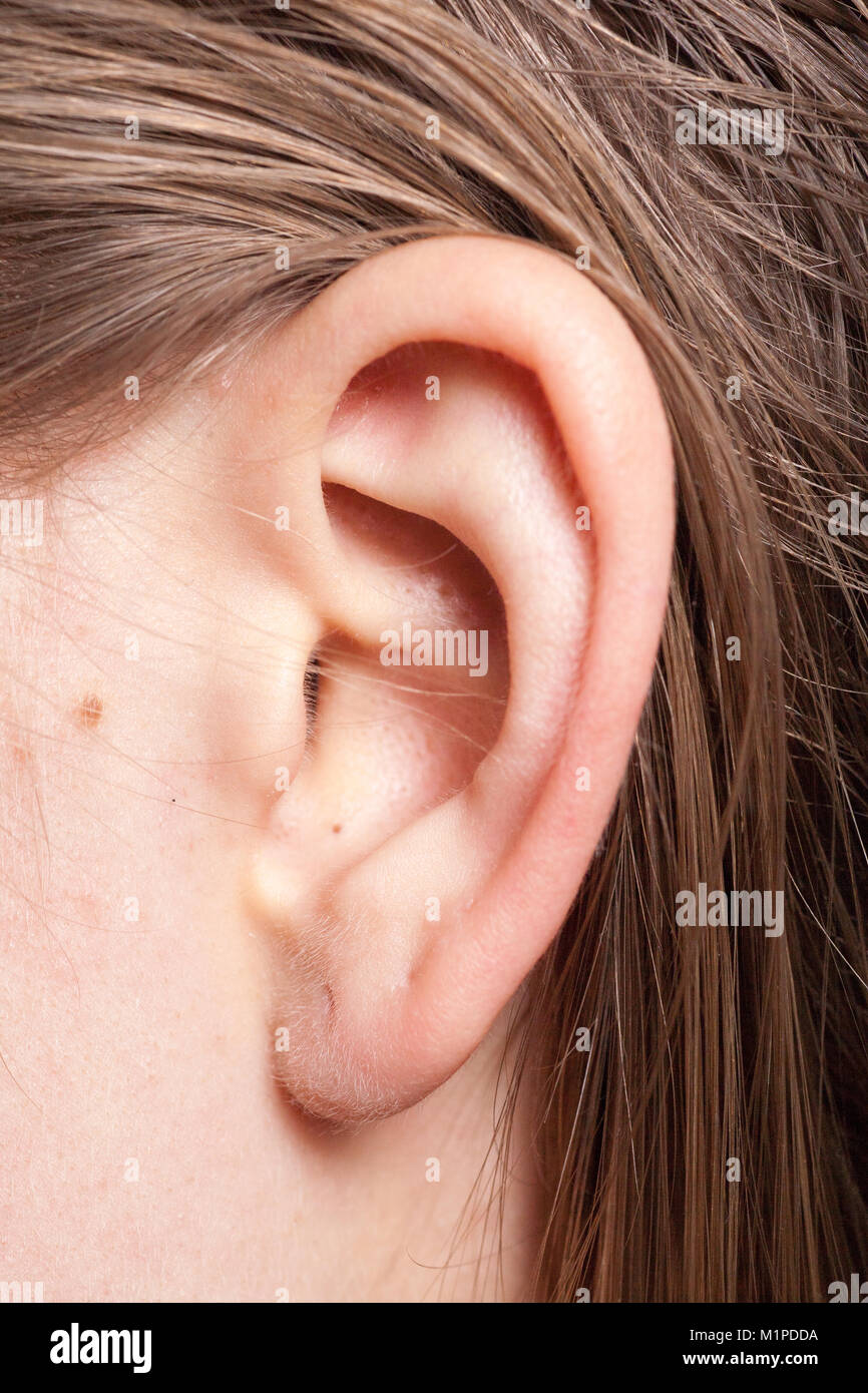 Menschliches Ohr Stockfotos und -bilder Kaufen - Alamy