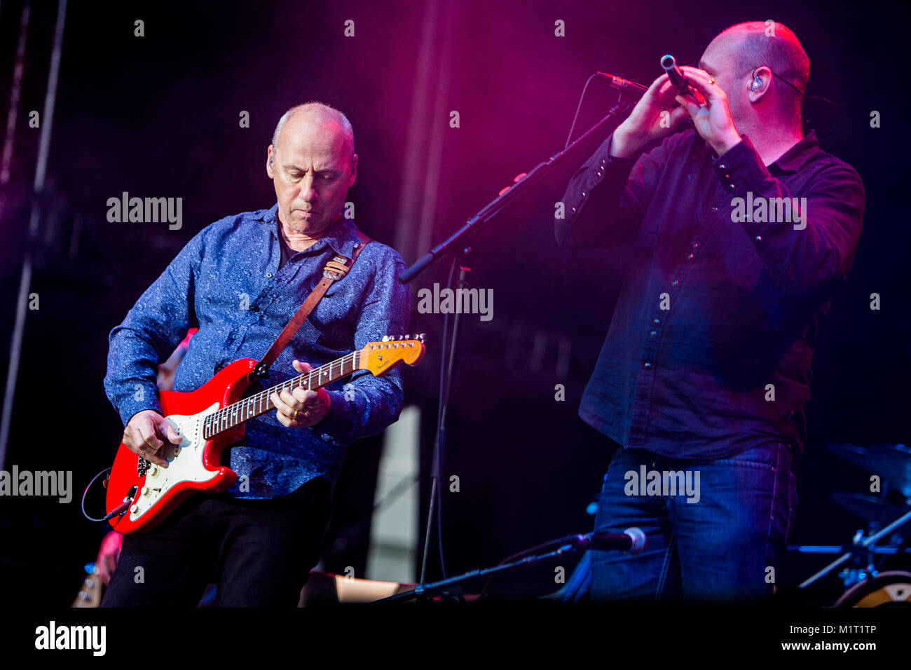 Sanger Dire Straits