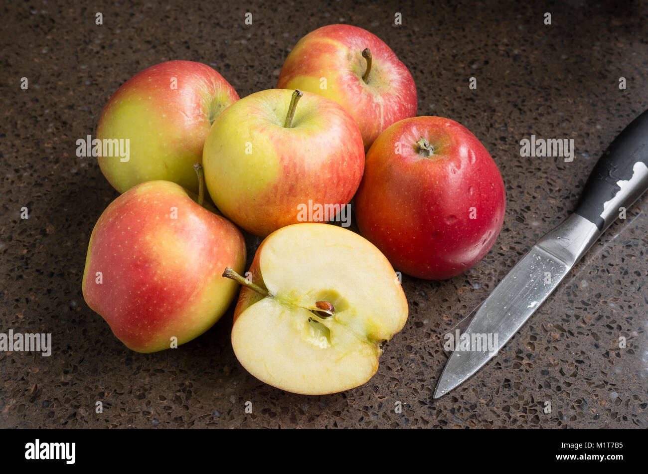 Malus domestica kanzi -Fotos und -Bildmaterial in hoher Auflösung – Alamy