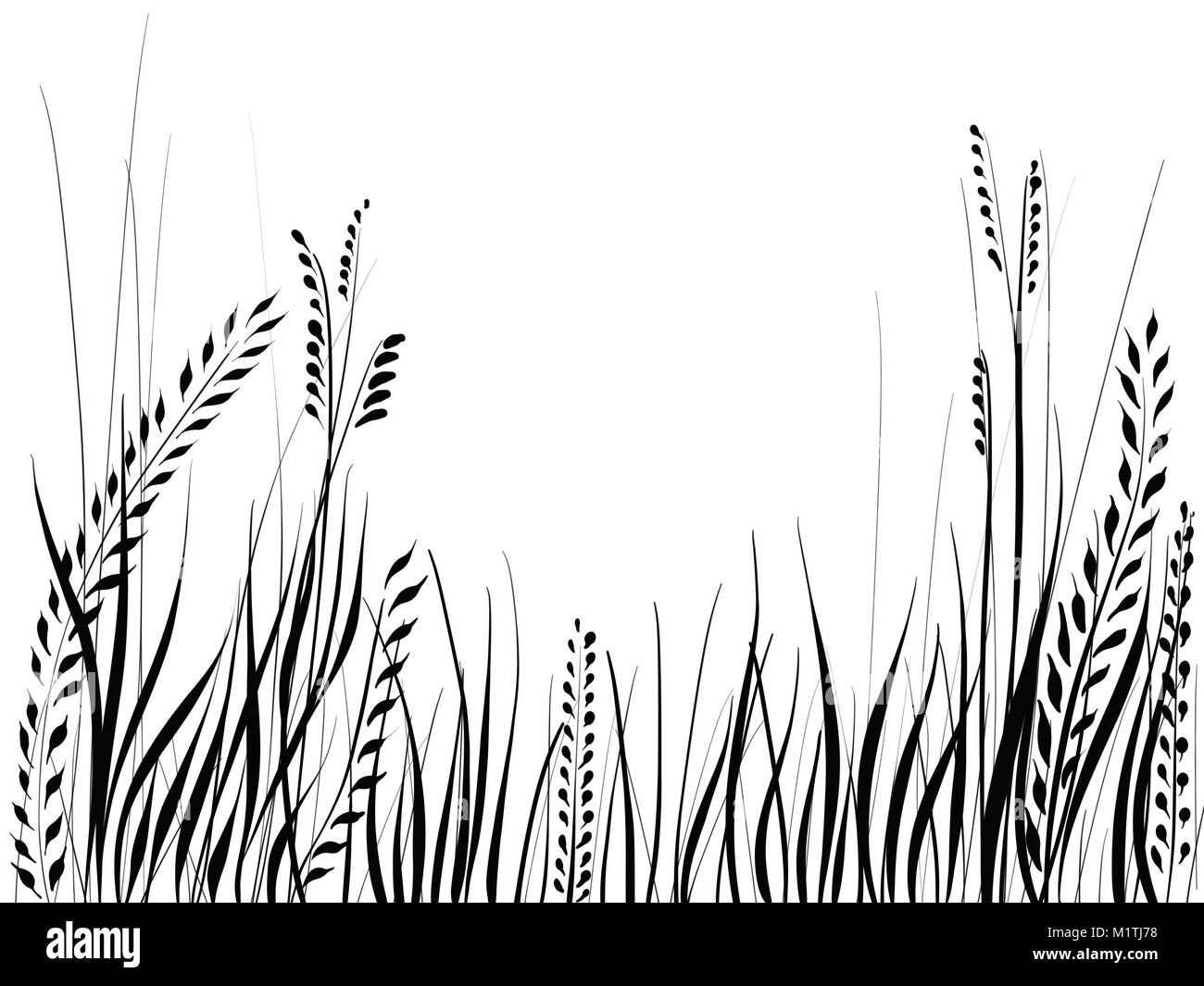 Silhouette Zeichnung von Gras und Blättern auf weißem Hintergrund, kann ...