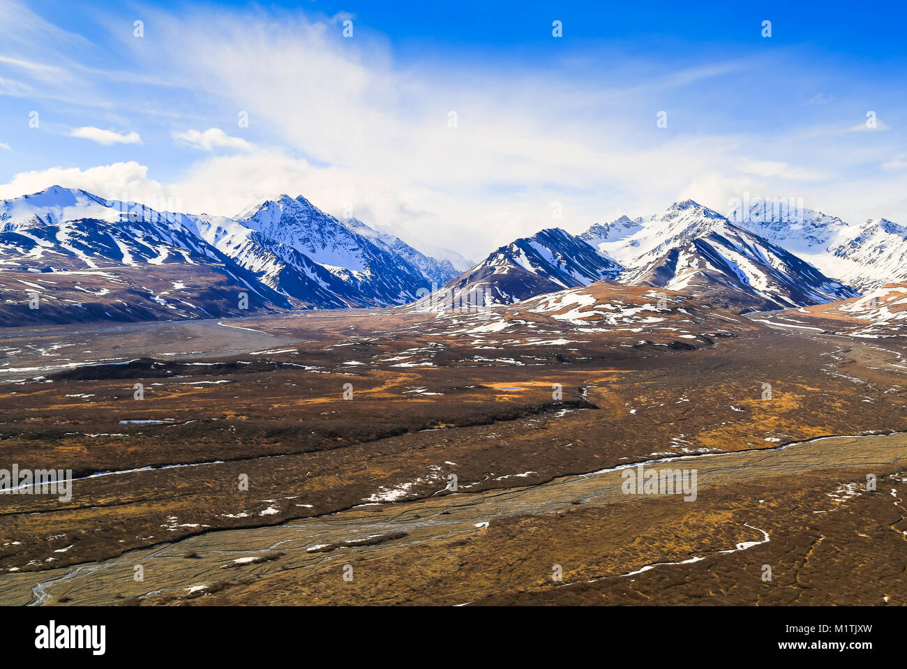 Die polychrome Übersehen im Denali National Park, Alaska mit ...