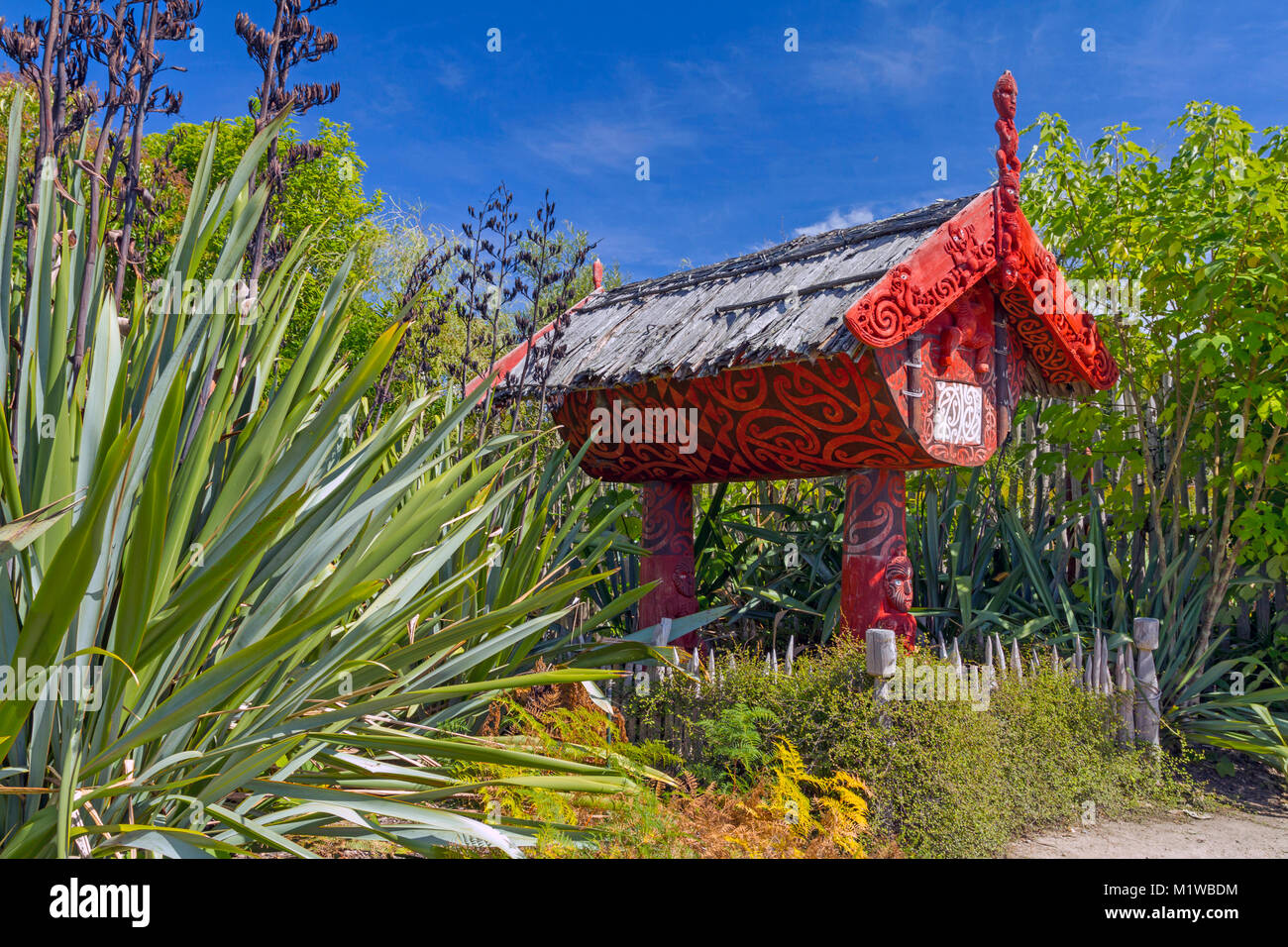 Traditional maori food -Fotos und -Bildmaterial in hoher Auflösung – Alamy