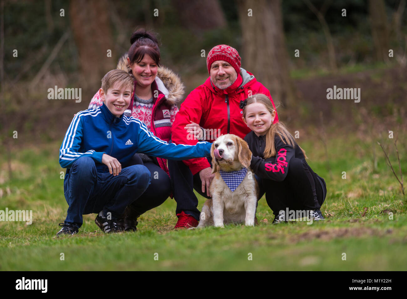 Hund mit familienmitglied -Fotos und -Bildmaterial in hoher Auflösung ...