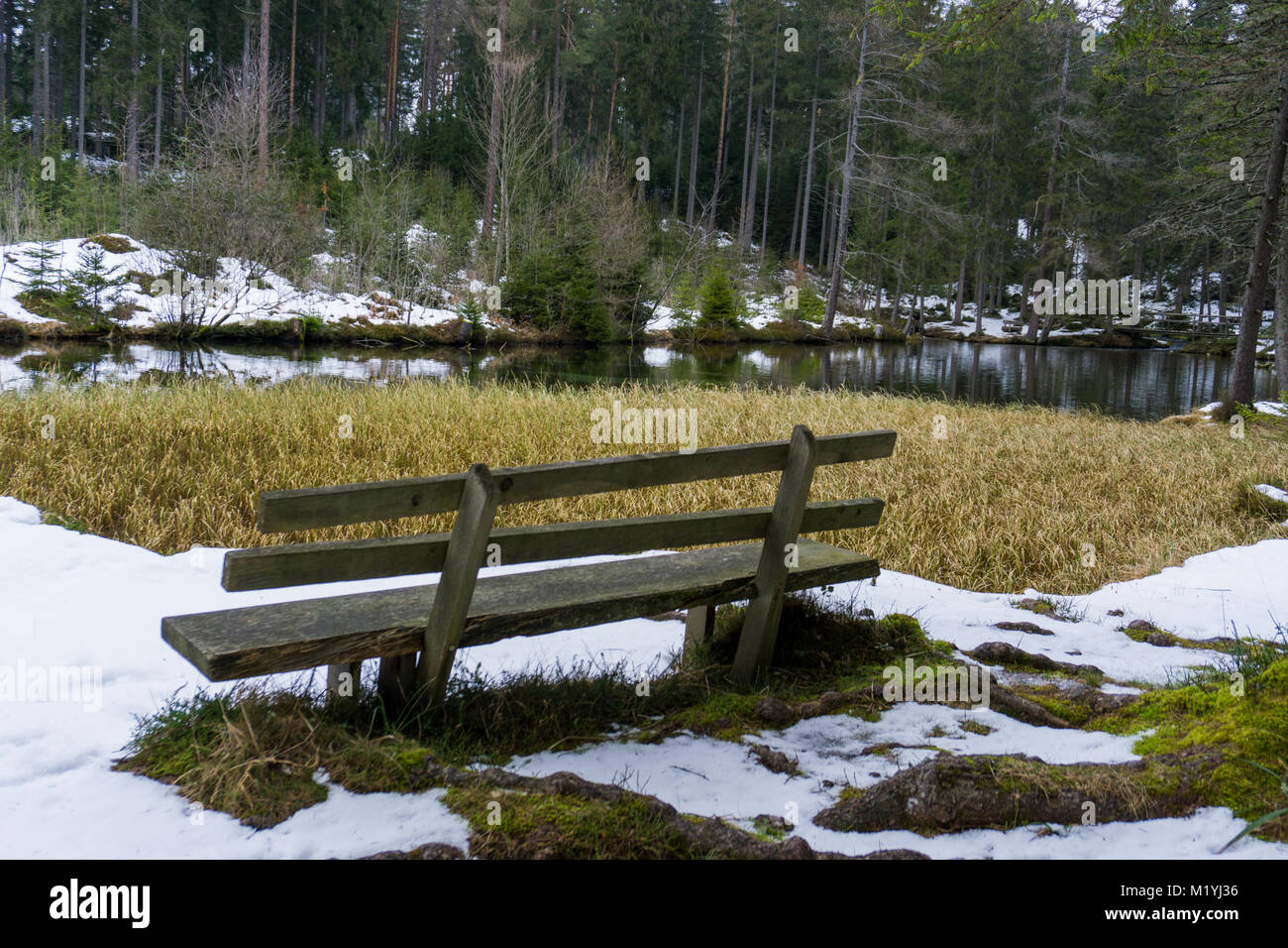 Alpines feuchtgebiet -Fotos und -Bildmaterial in hoher Auflösung – Alamy