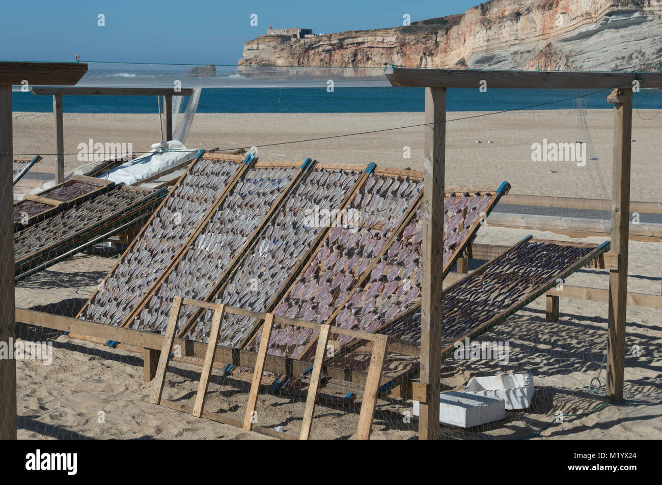 Racks der Trocknung Fische in der Sonne am Strand von Nazare, Portugal ...