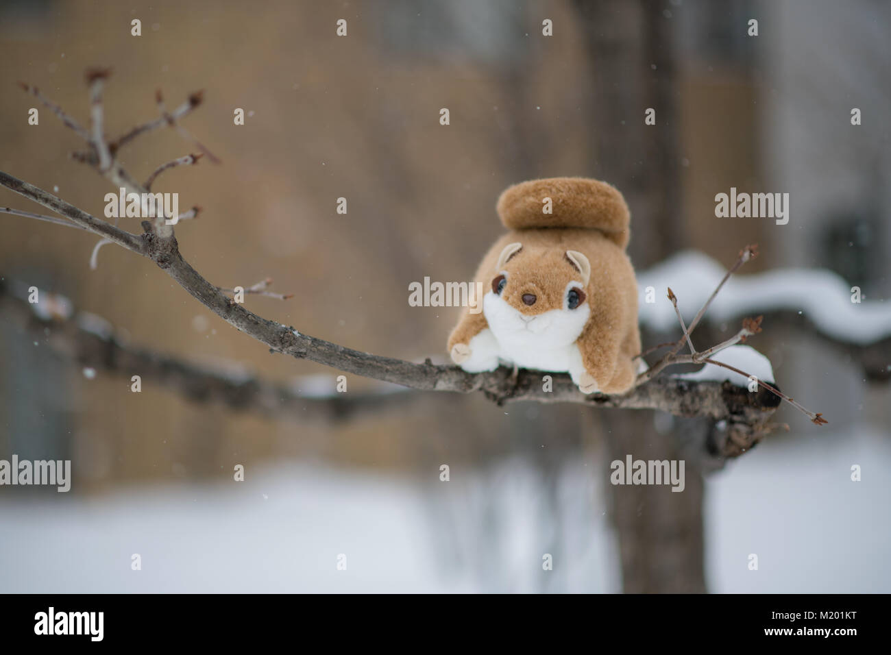 Cute Fettsäuren ezo momonga Hokkaido sibirischen flying squirrel Puppe ...