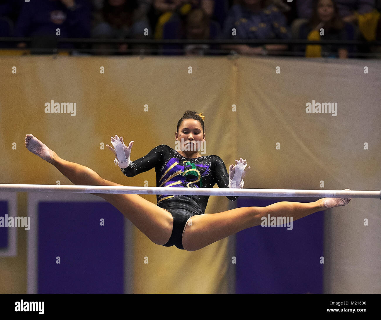 Baton Rouge, LA, USA. 2 Feb, 2018. LSU Gymnast Sarah Finnegan führt am ...