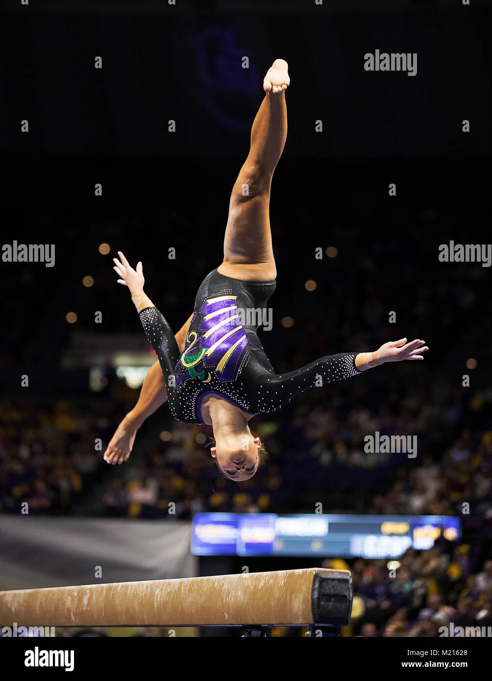 Sarah finnegan -Fotos und -Bildmaterial in hoher Auflösung – Alamy
