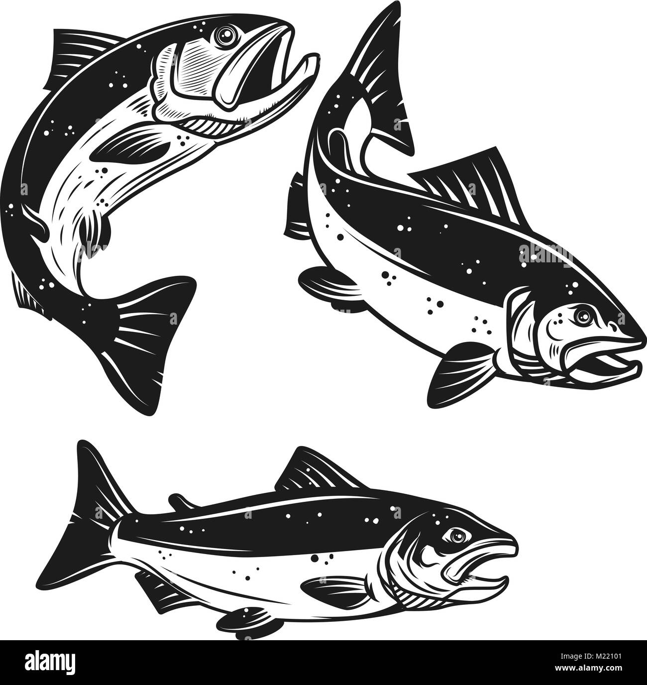 Satz von Lachs Fisch Symbole auf weißem Hintergrund. Design Element für ...
